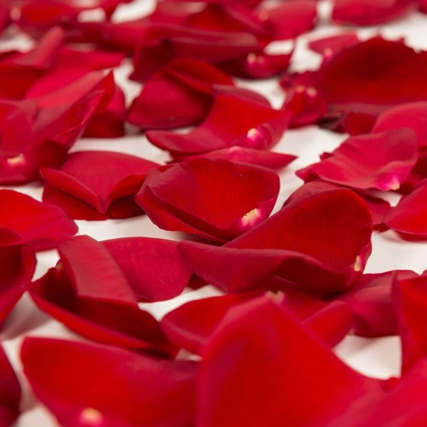 Natural Fresh Cut Red Rose Petals. R38 – Tricity 24